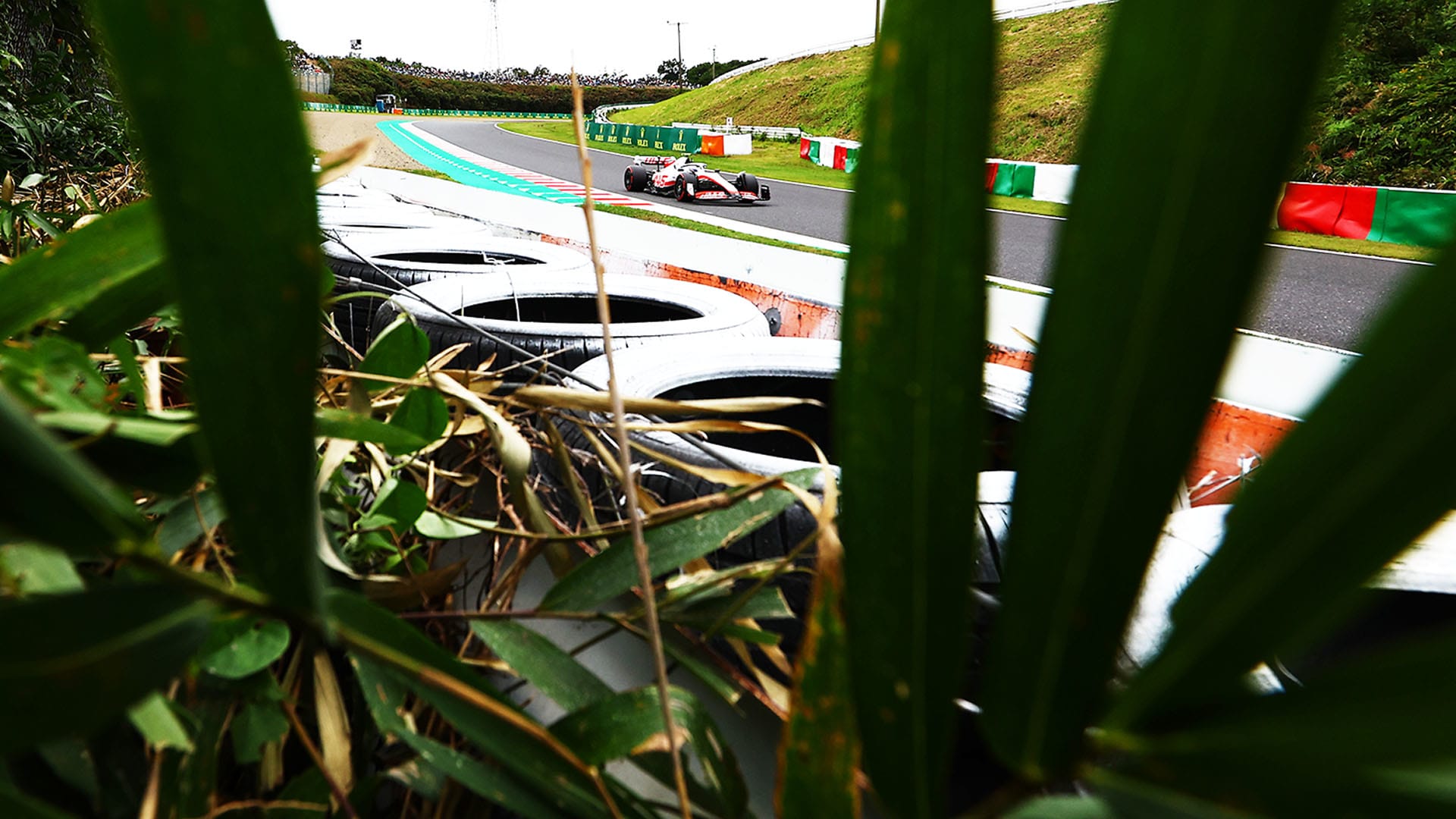 AS IT HAPPENED: Follow all the action from qualifying for the Japanese ...